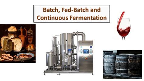 Batch Fed Batch And Continuous Fermentation Youtube