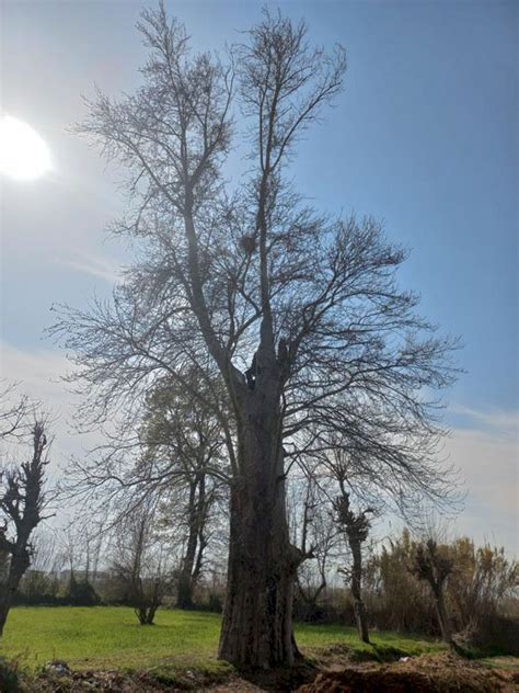Natural Properties In Golestan Made National Heritage Tehran Times