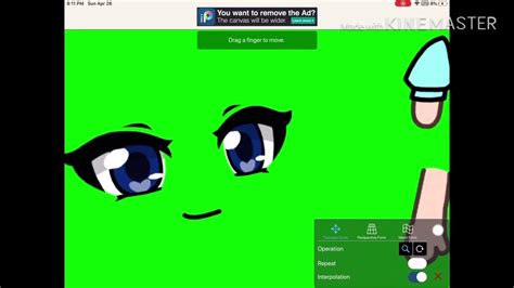 Live D Cubism Winggross