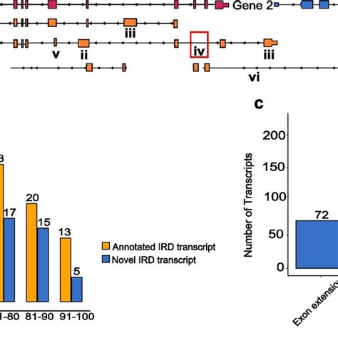 novel transcripts description a schematic representation of different