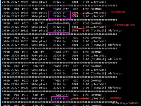 进程控制 CSDN博客