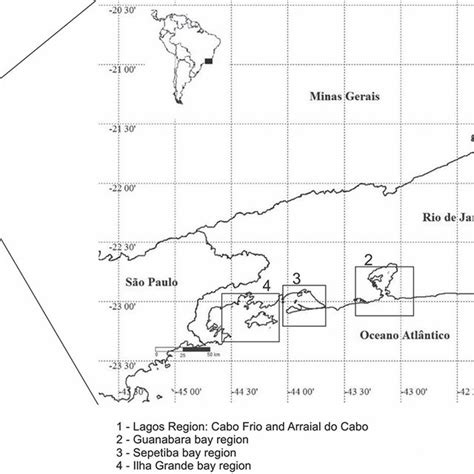 Meio 2 Metros De Profundidade Download Scientific Diagram