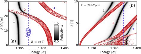 Polariton Reflectivity Spectrum Grayscale For A The Electric Field Download Scientific