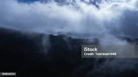 아침에 안개가 낀 계곡의 나무들을 조감도로 볼 수 있습니다 태국의 안개 낀 계곡과 산 구름의 풍경 안개의 바다와 함께 산의 새벽 0명에 대한 스톡 사진 및 기타 이미지