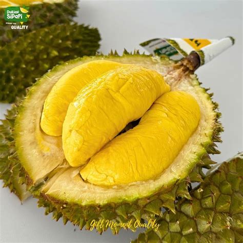 Benarkah Makan Durian Dengan Soda Kopi Dan Seafood Berbahaya