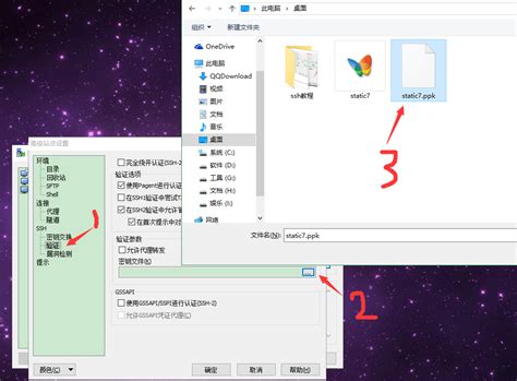 服务器出现问题，重新配置登录 winscp登录 csdn博客