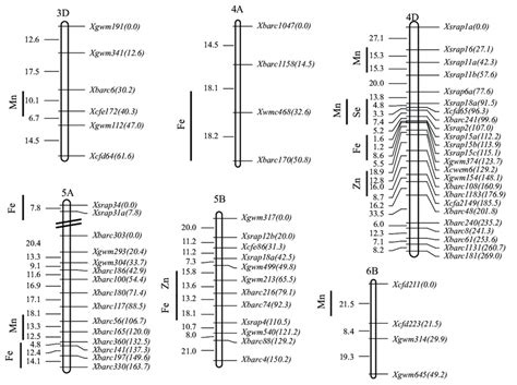 Qtl Mapping For Micronutrient Concentrations With Significant Lod