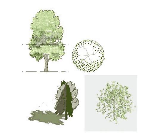 Object Jonathan Furlongs 2d 3d Tree