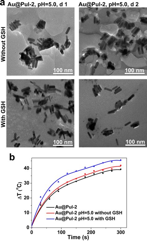 Self Destructible Polysaccharide Nanocomposites With Unlockable Au Nanorods For High Performance