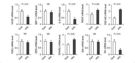 Transplantation Of Vpcs Terminates Aberrant Neovascularization By Download Scientific Diagram