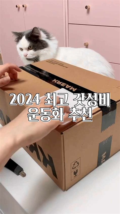 이거 진짜 가성비 최고😀👍 Kream