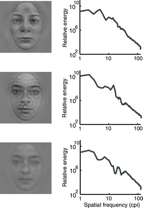 Three Sample Stimuli After Filtering With The Spatial Frequency Sf Download Scientific