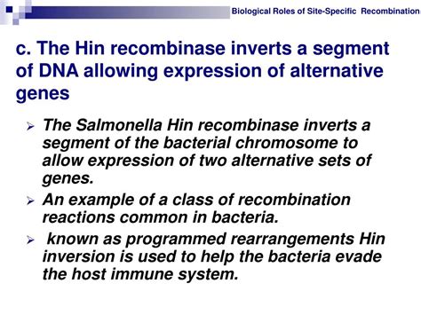 Ppt Site Specific Recombination And Transposition Of Dna Powerpoint Presentation Id 3547138