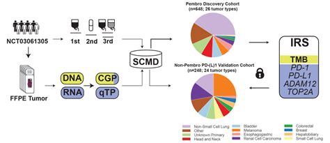Development And Validation Of An Integrative Pan Solid Tumor Predictor