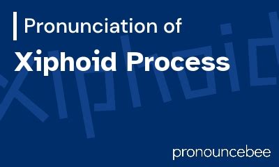 Xiphoid Process Pronunciation