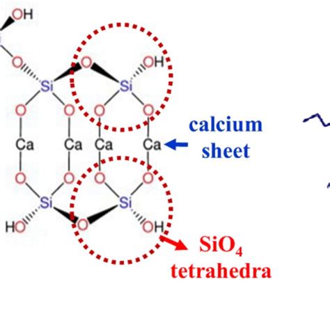 Schematic Of A The Basic Csh Unit And B Two Simplified Csh Modified