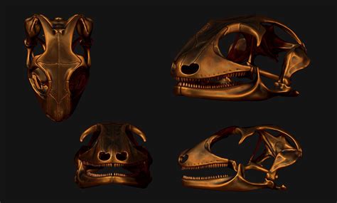 Gecko Skull Cnc And 3d Model 3d Printable Cgtrader