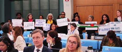 Csipm Women And Gender Diversities Working Groups Statement At Cfs51 Csipm