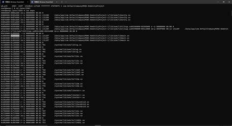 Operating System Why Does Linux Memory Contain Duplicate Data