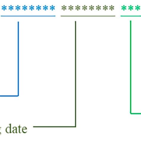 Rdcrmg Based Raster Data Extraction Method Download Scientific Diagram