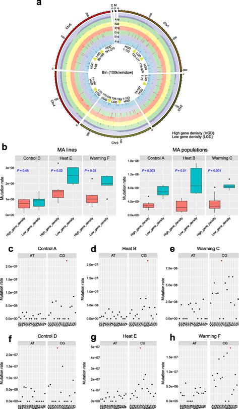 Mutational Biases Of Control Heat And Warming Lines And Populations