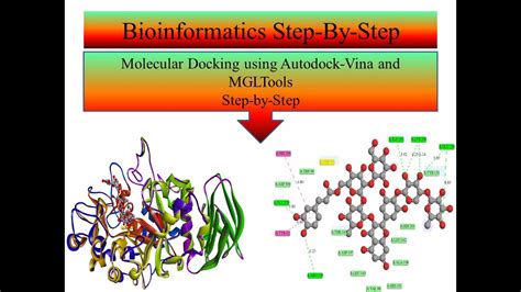 Molecular Docking With AutoDock Vina Download And Installation Tutorial For Beginners