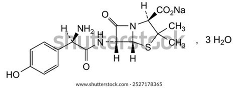 Chemical Structure Amoxicillin Trihydrate Drug Substance Stock Vector