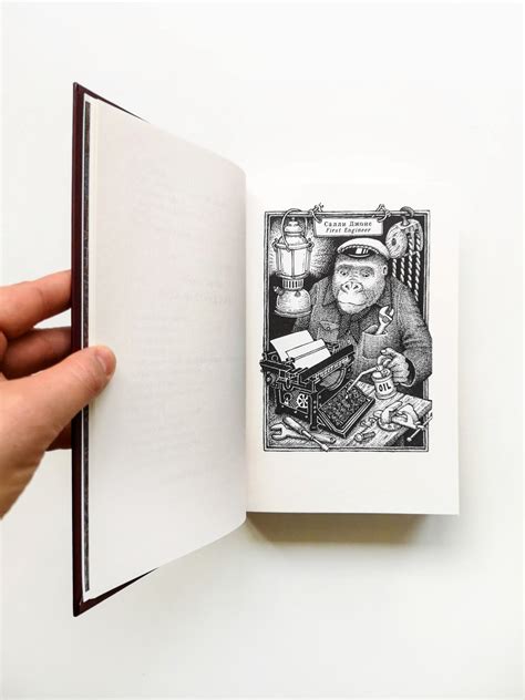 Новые странствия Салли Джонс - Vilki Books