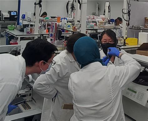 Single Cell Rna Sequencing Services Seqmatic