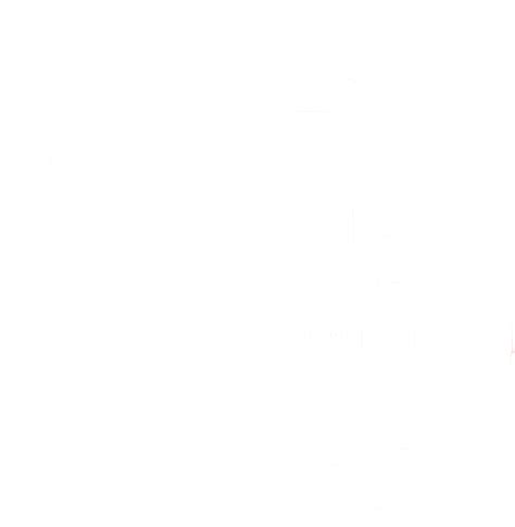 Odoo Development Speeduplight