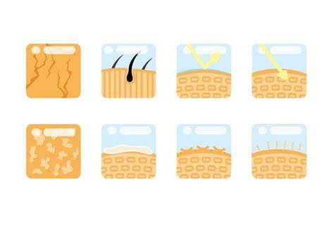 피부 아이콘 벡터 Eps Svg Uidownload