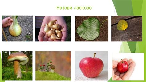 Осень. Признаки осени - презентация онлайн
