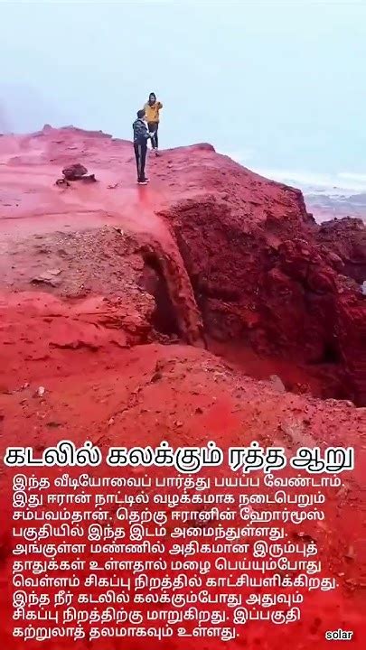 😇கடலில் கலக்கும் ரத்த ஆறு Youtube