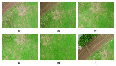Remote Sensing Images From Six Uavs At Large Heights 200 220 M Download Scientific Diagram