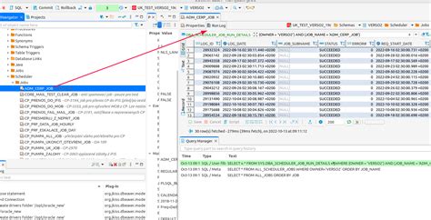Schedulerjobsrun Log Is Empty Oracle · Issue 14528 · Dbeaver