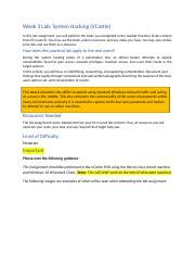 Lab Assignment System Hacking For Real World Application Course Hero