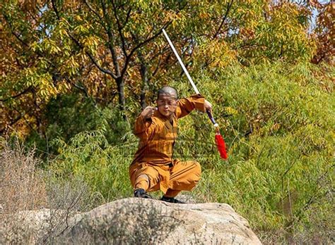 Shaolin Master Shi Yan Jia Qufu Shaolin Kung Fu School