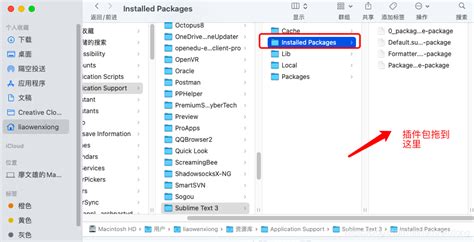 sublime text如何安装和卸载插件 sublime text 怎么卸载tabnine csdn博客
