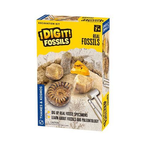 I Dig It Fossils Real Fossils Excavation Kit Scooter Girl Toys