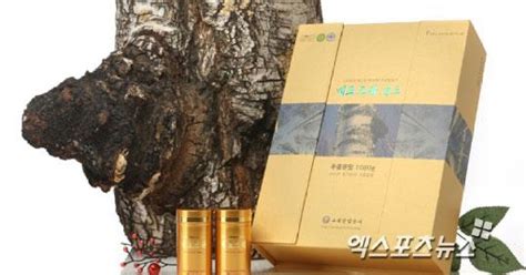 비타민 공법 이용한 차가버섯 추출분말 베료즈카 골드