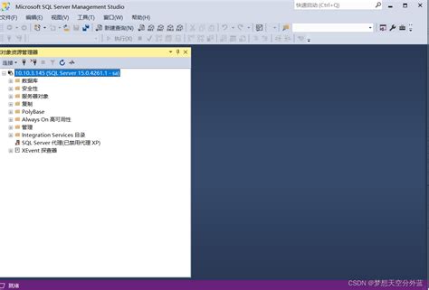 在docker上安装部署sql Server2019 Expressdocker安装sqlserver2019 Csdn博客