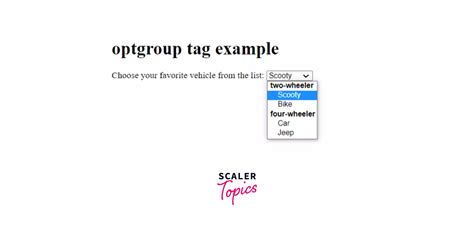 Option Tag In Html Scaler Topics