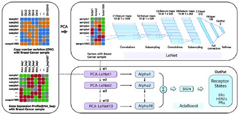 Pla Model Implementation Framework Download Scientific Diagram