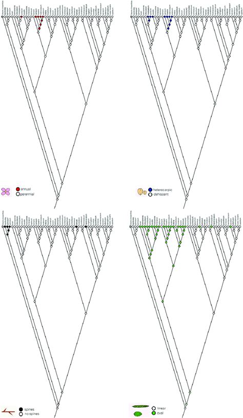 Ancestral Character Reconstruction Likelihood Based Ancestral