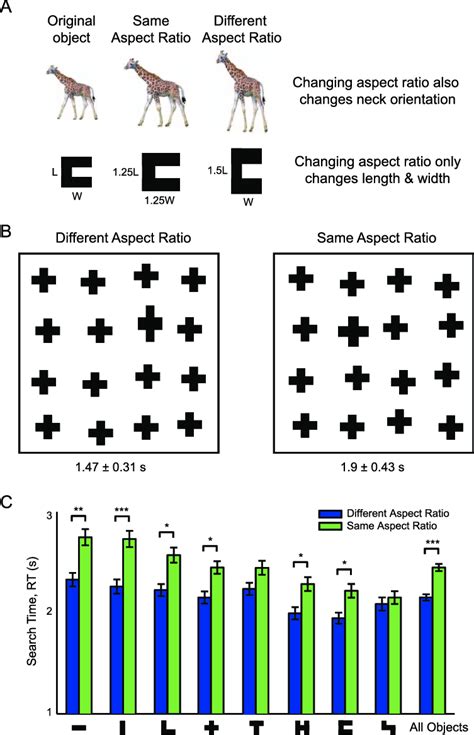 aspect ratio drives visual search experiment 5 a example objects download scientific