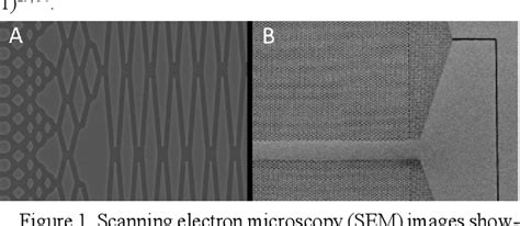 figure 1 from a well ordered nanoflow lc ms ms approach for proteome profiling using 200 cm long