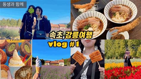 희귀병환자 여행브이로그1 동생과 함께 속초강릉 여행 우동당 세렝게티커피 즉석떡볶이 하늬라벤더팜 속초