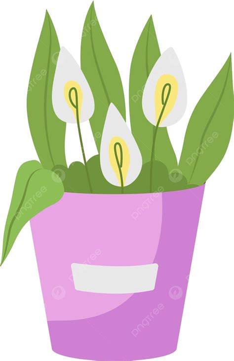 Vector Object Of A Semiflat Colored Arrangement Of Calla Lilies Flowers