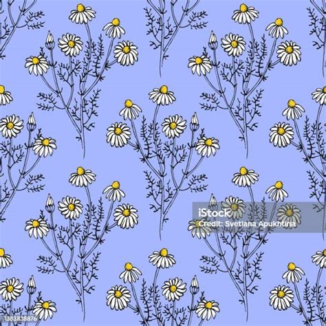 파란색 배경에 손으로 그린 카모마일 꽃과 매끄러운 패턴 0명에 대한 스톡 벡터 아트 및 기타 이미지 0명 개화기 귀여운 Istock