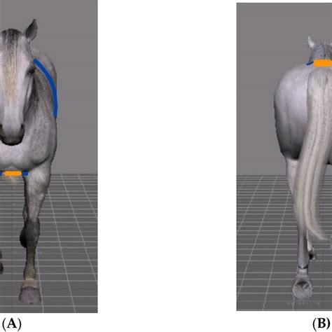 Representation Of The Position Of The Accelerometer Orange A